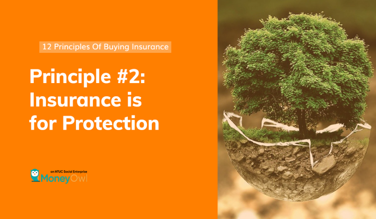 Principle #2 - Insurance is for Protection | MoneyOwl