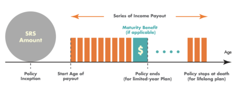 Here's How to Use Your Funds in the SRS | MoneyOwl
