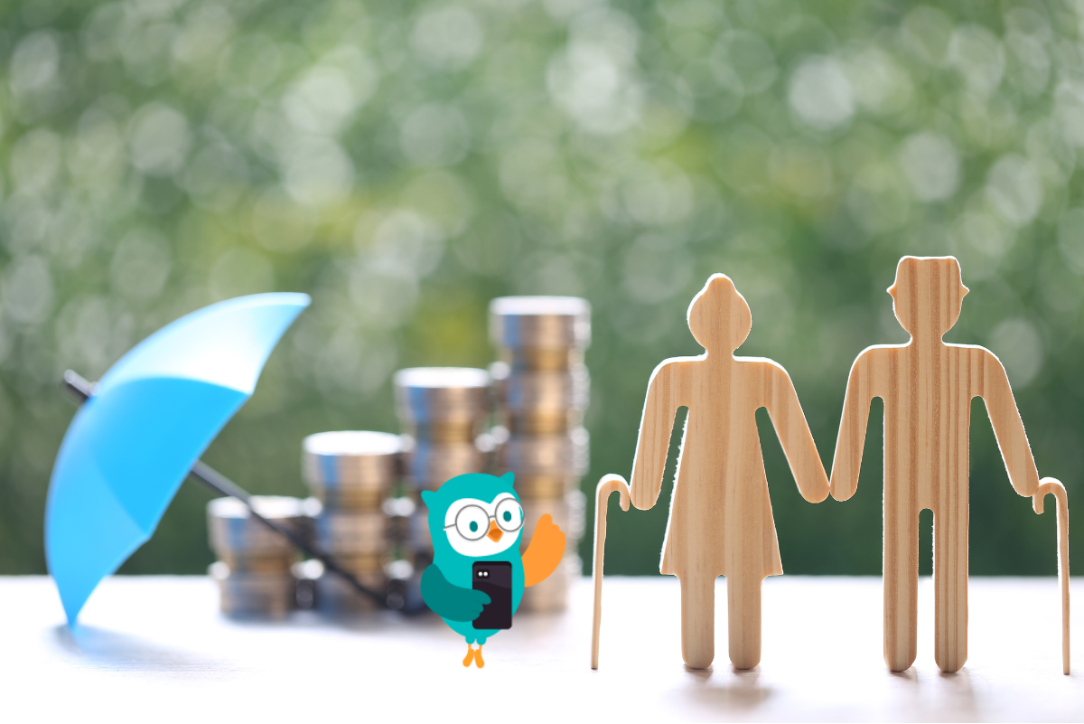 A Visual Guide to the Supplementary Retirement Scheme (SRS) | MoneyOwl