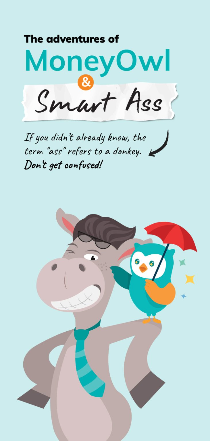 All You Need To Know About SRS | MoneyOwl